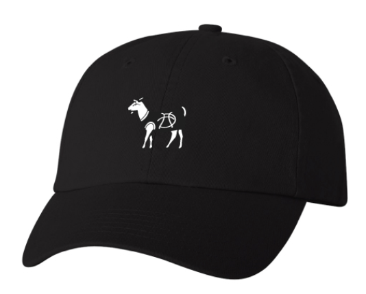 The Standard Collection GOAT Hat – Pure Sweat Basketball